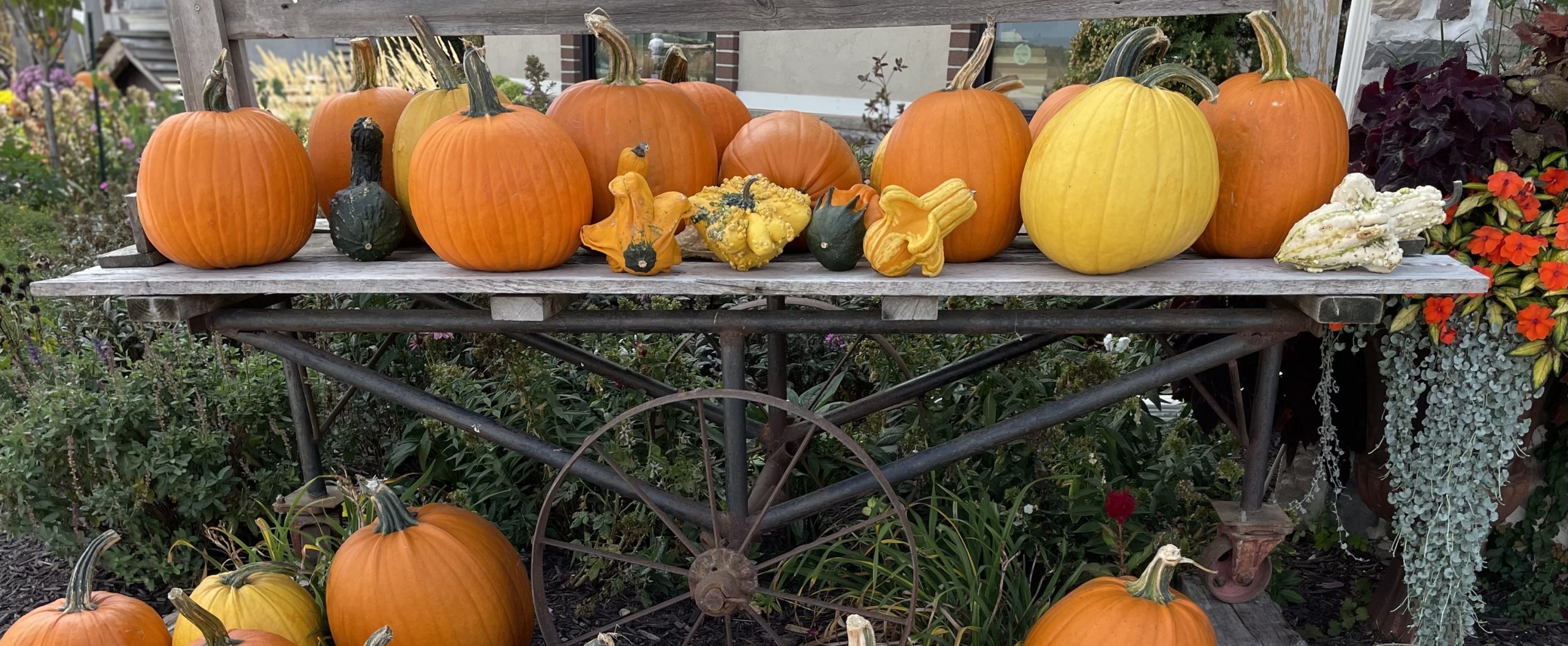 Wisconsin Healthcare Engineering Association