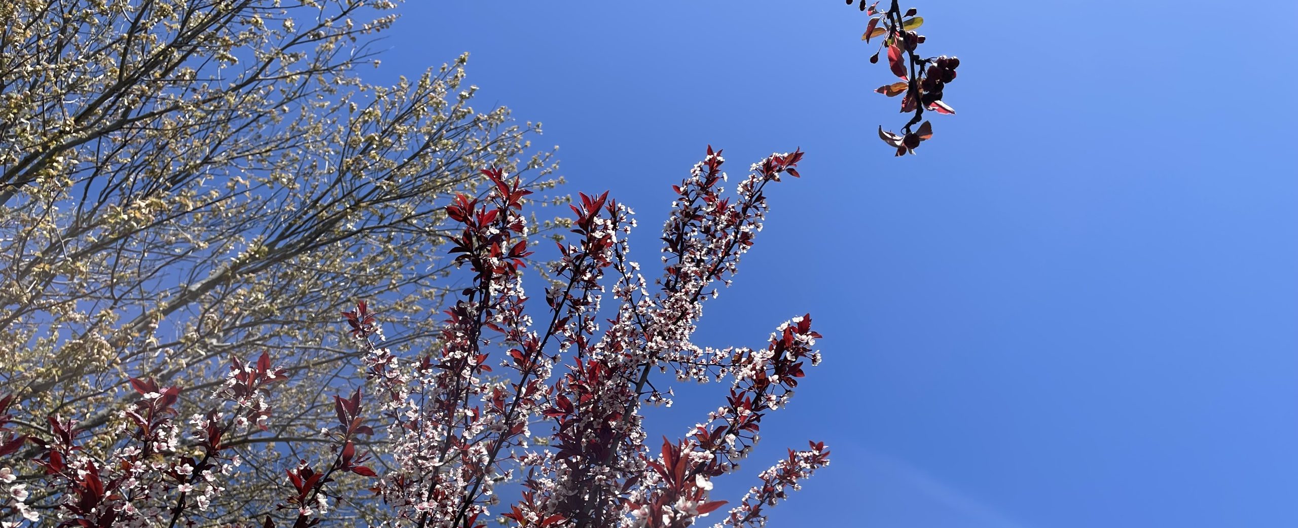 Wisconsin Healthcare Engineering Association