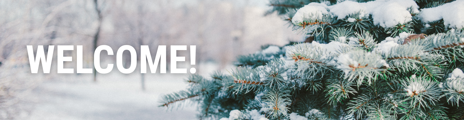 Wisconsin Healthcare Engineering Association